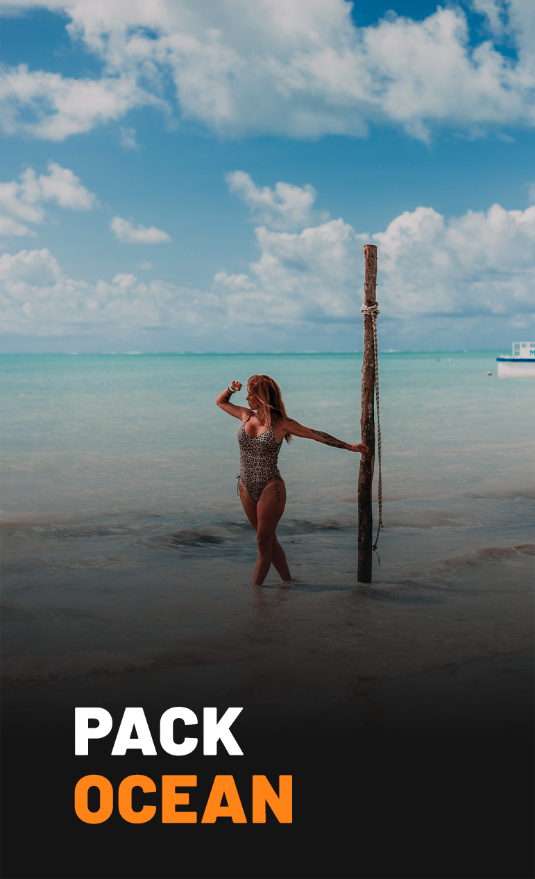 Pack de Presets - Ingrid Pietra